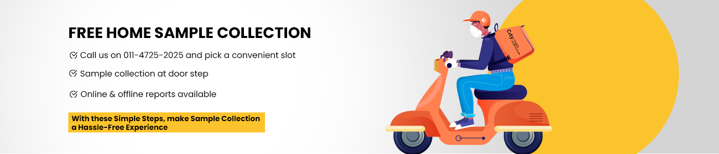 Free Sample Collection - Blood Test at Home in Delhi